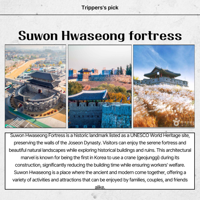 Things to do near Seoul (Yongin & Suwon) > Tourist Attraction | Trippers